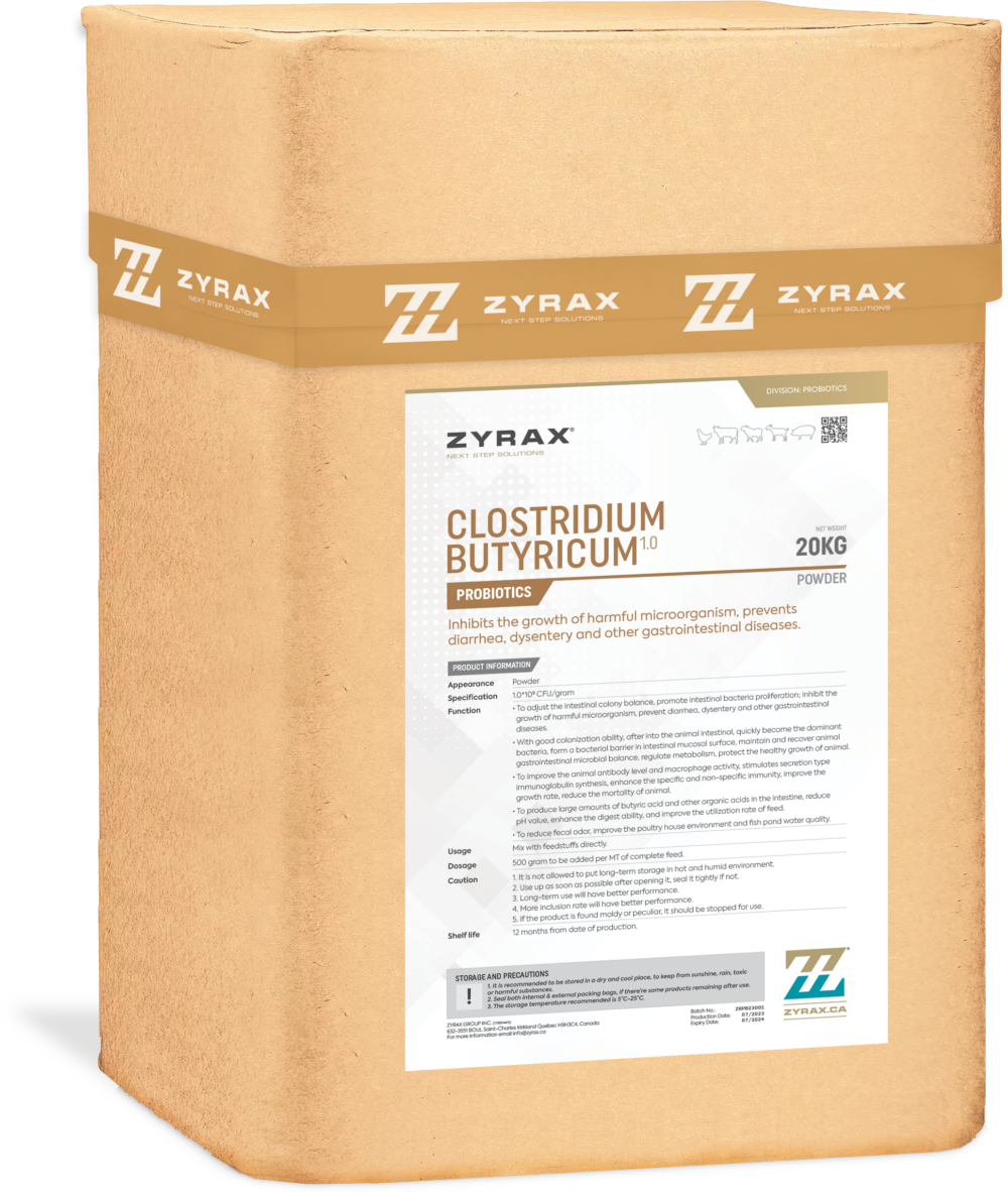 Clostridium Butyricum – Zyrax