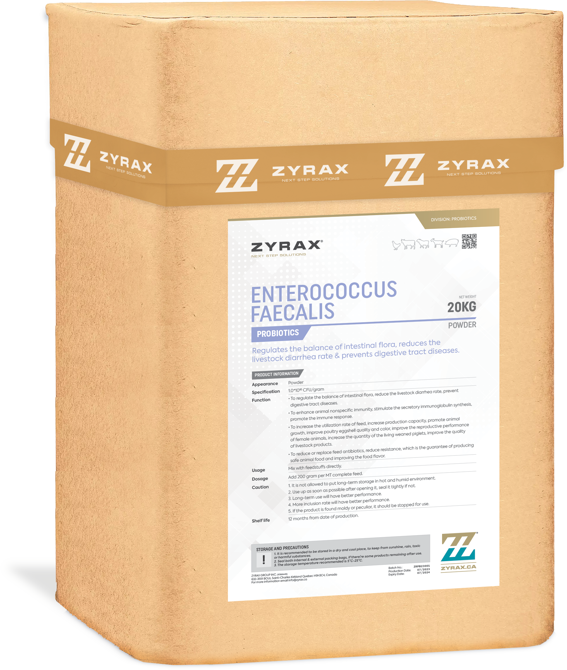 Enterococcus Faecalis – Zyrax