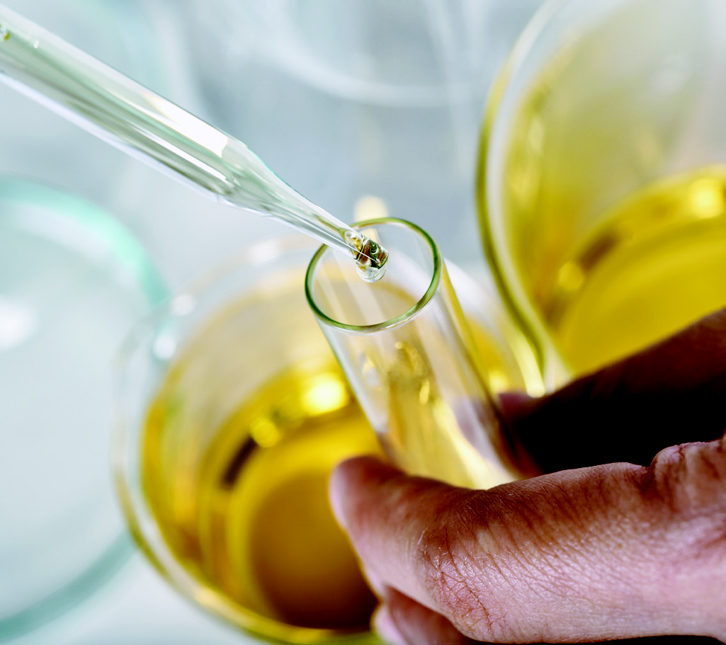 Chronic Inflammatory Conditions & Immune Health: Addressing the Root Causes in Veterinary – Zyrax